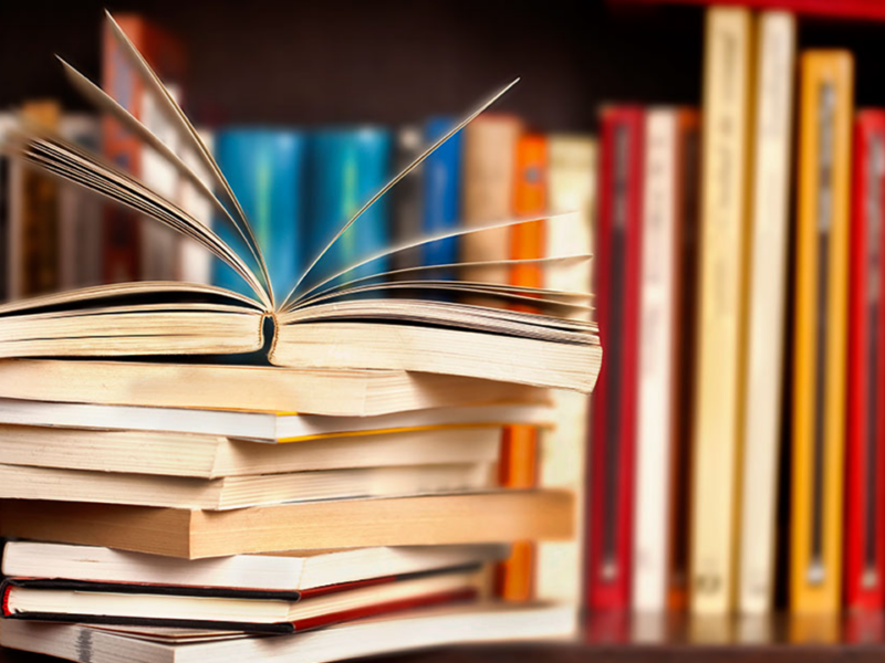 It's National Thesaurus Day! | Library Activities, Displays, and Books!