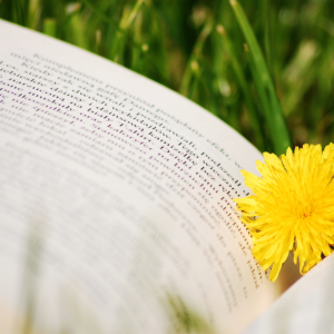 March Library Posters for National Women's History Month