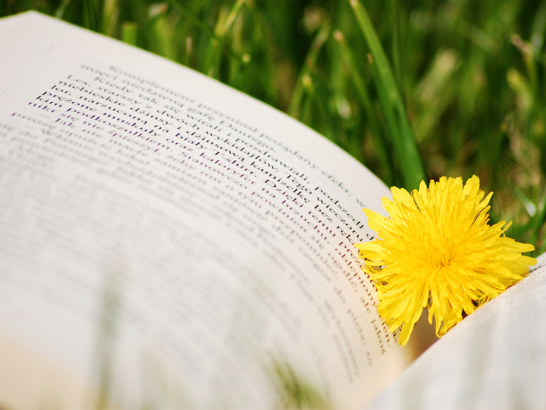 Lesson Plans and Activities to Use in Your Library this Spring!