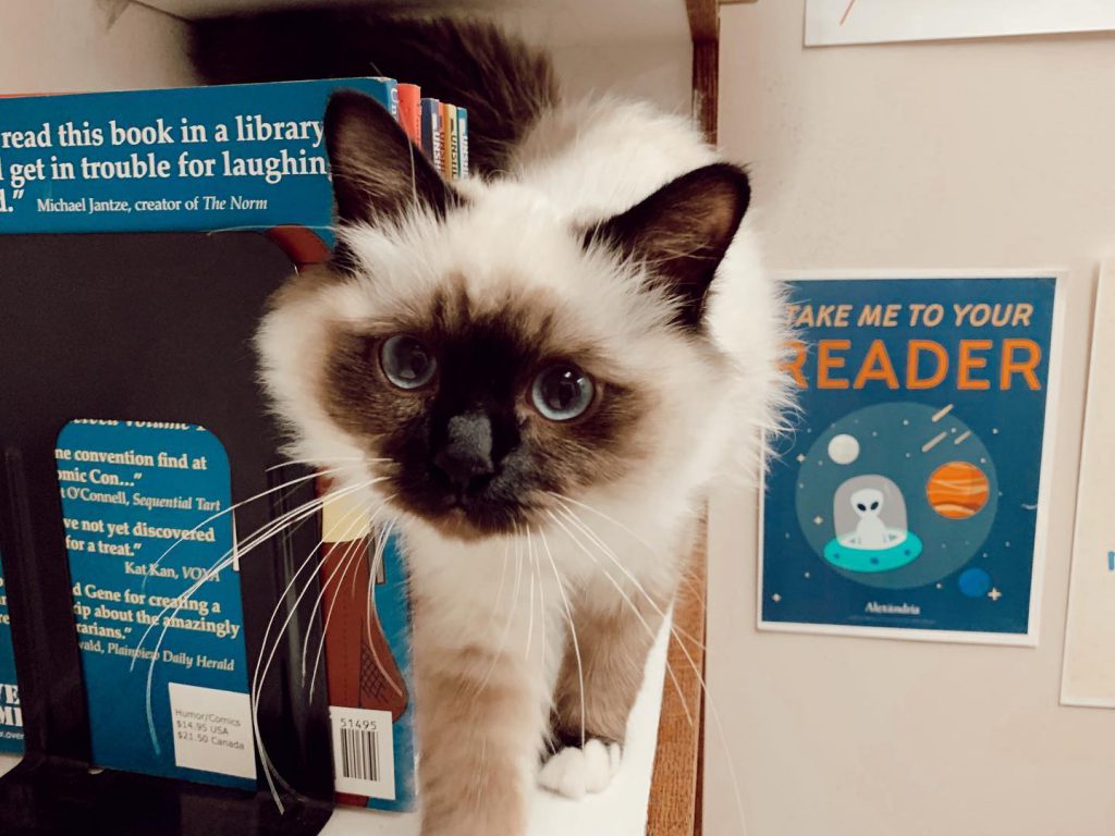 November Free Reading Posters | Alexandria Library Software