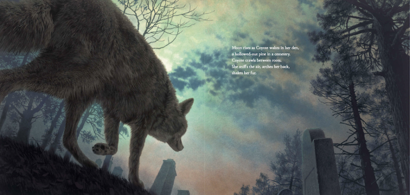 7 Picture Book Read Alouds, Turn-N-Talk Activities + Free Download ...
